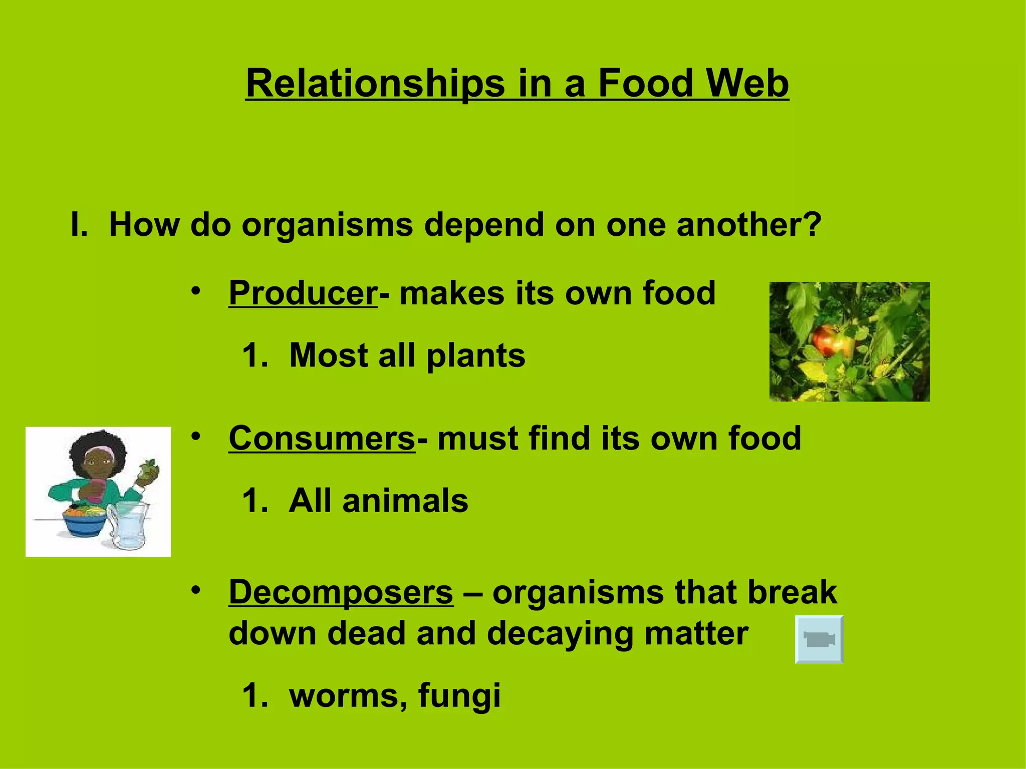 Relationships in a Food Web | PPT