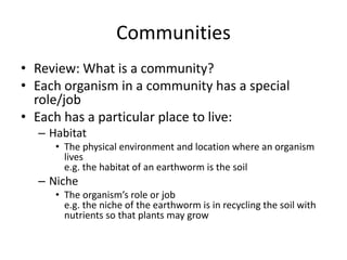 Relationships in ecology | PPTX