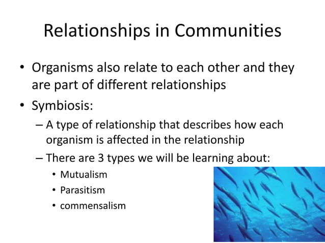 Relationships in ecology | PPTX | Zoos & Aquariums | Attractions