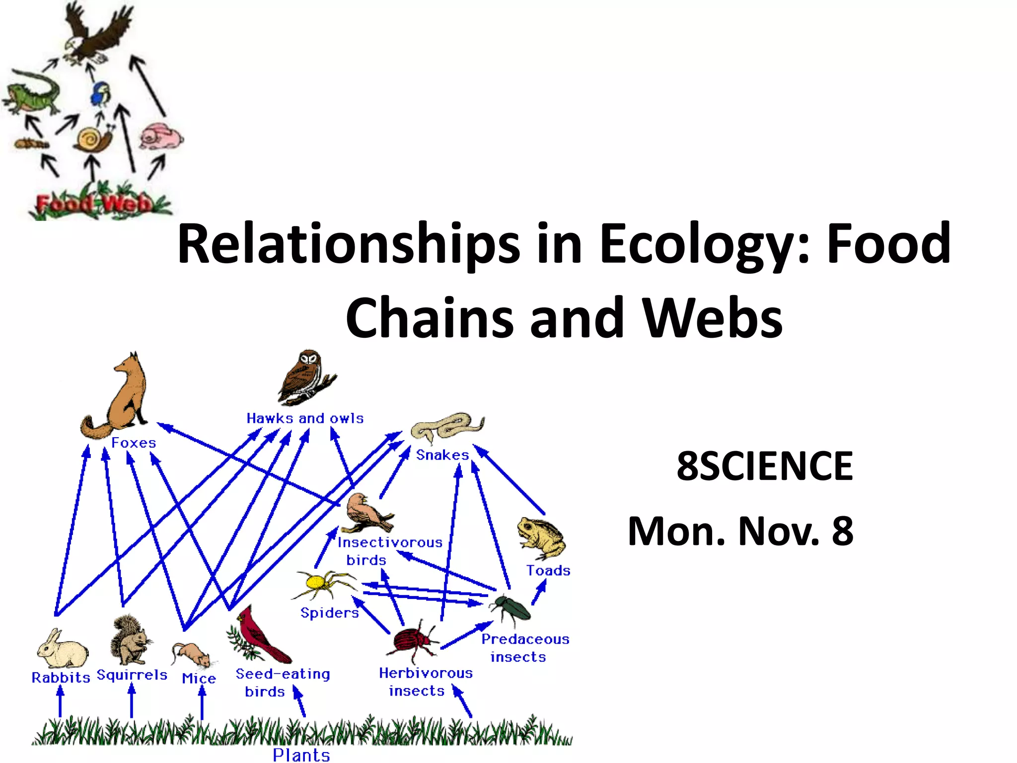 Relationships in ecology foodchains | PPTX