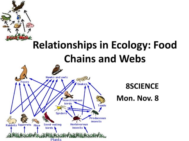 Relationships in ecology foodchains | PPTX