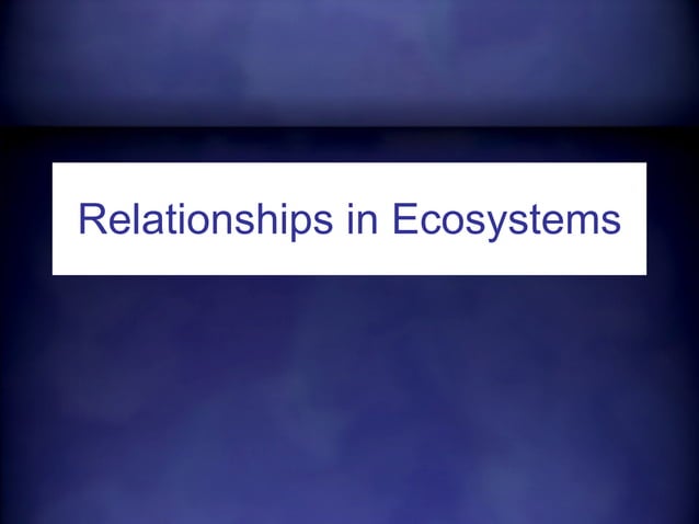 Relationships in ecosystems | PPT