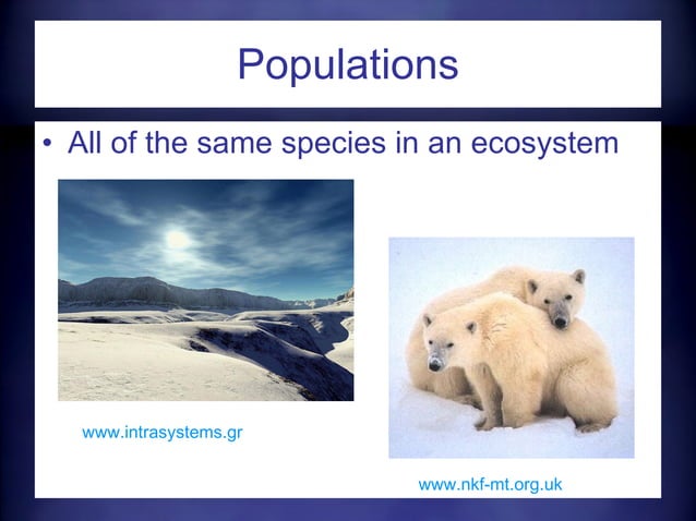 Relationships in ecosystems | PPT