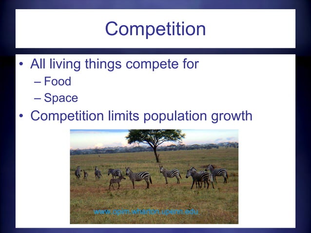 Relationships in ecosystems | PPT