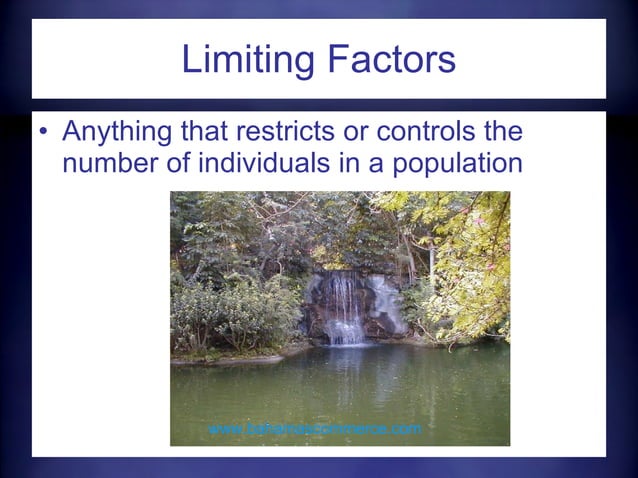 Relationships in ecosystems | PPT