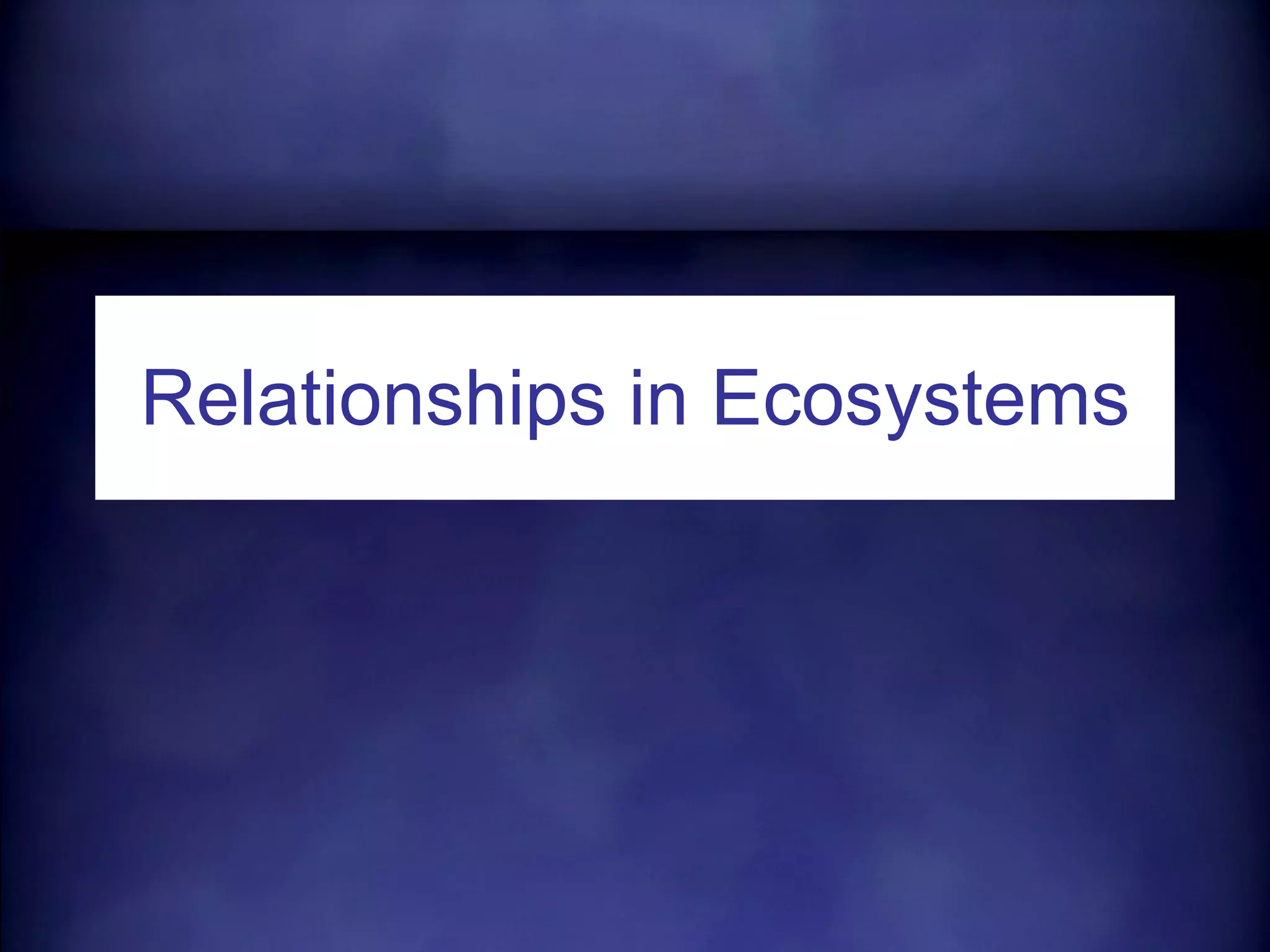 Relationships in Ecosystems | PPT