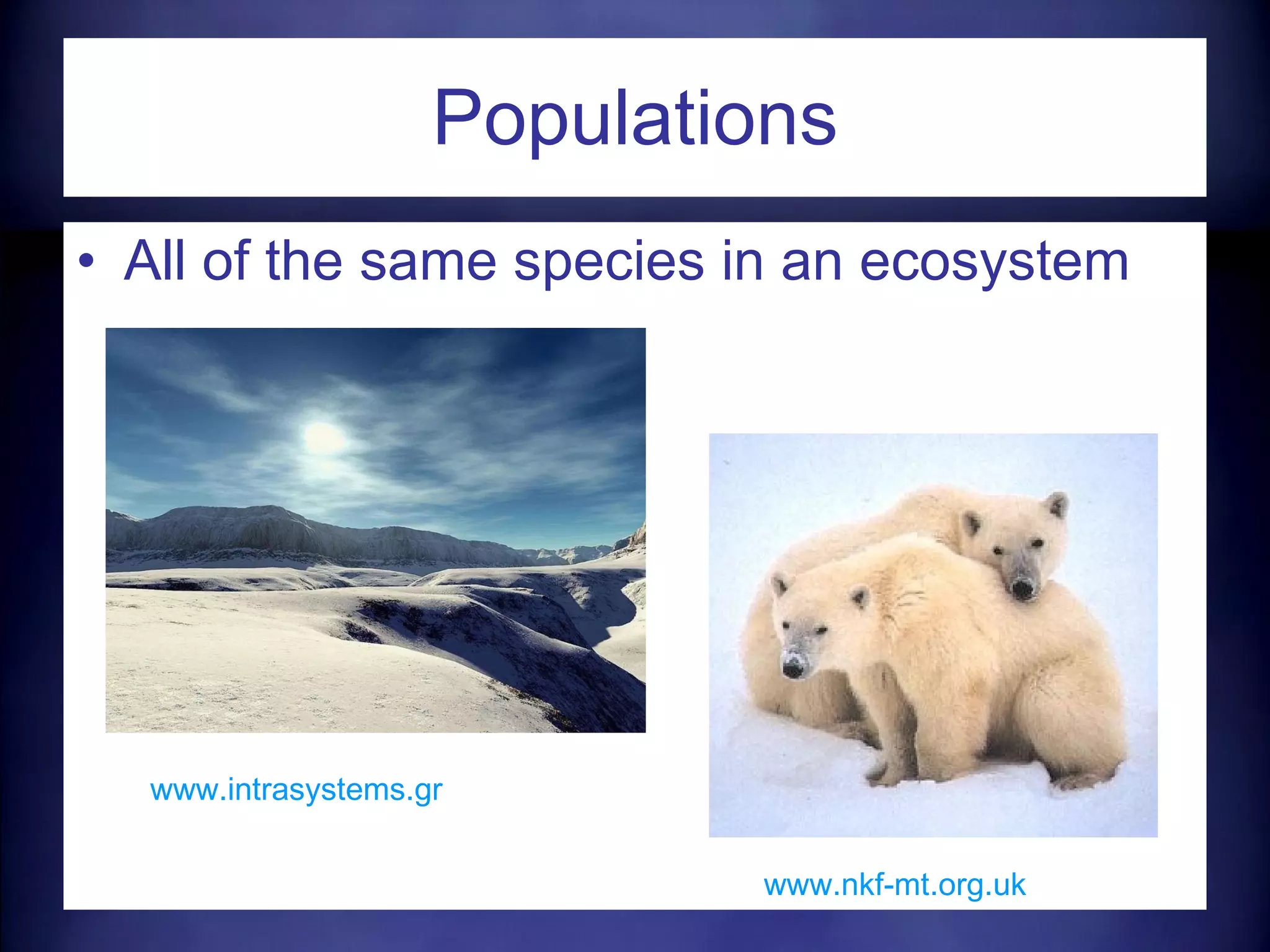 Relationships in Ecosystems | PPT