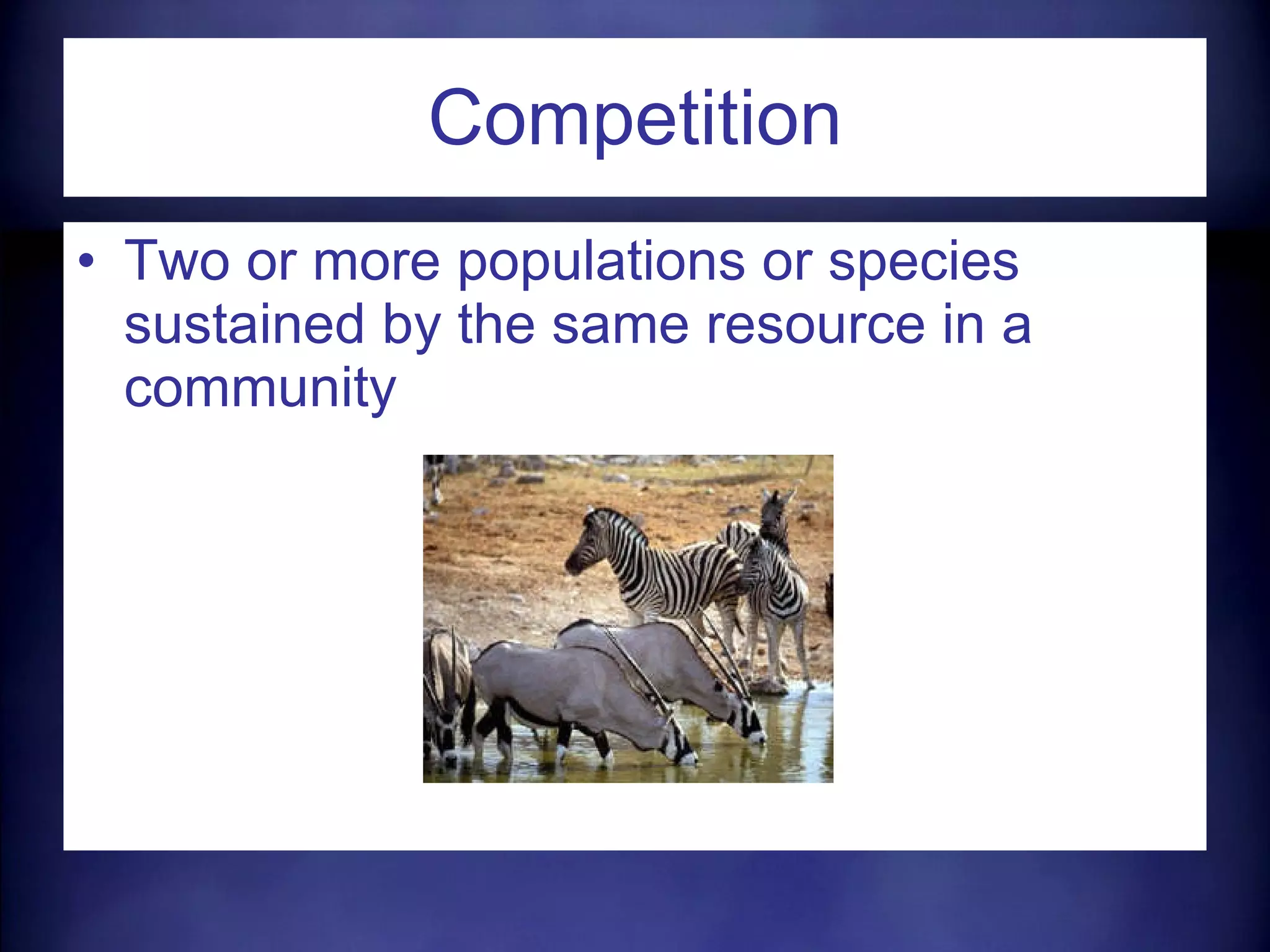 Relationships in Ecosystems | PPT