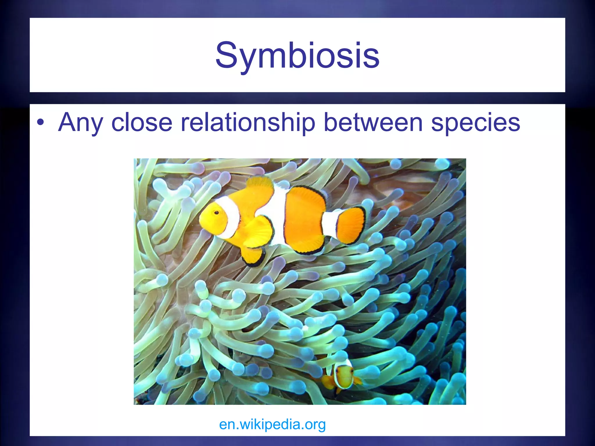 Relationships in Ecosystems | PPT
