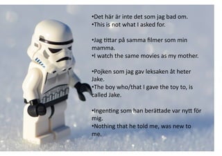 Relativa pronomen | PDF