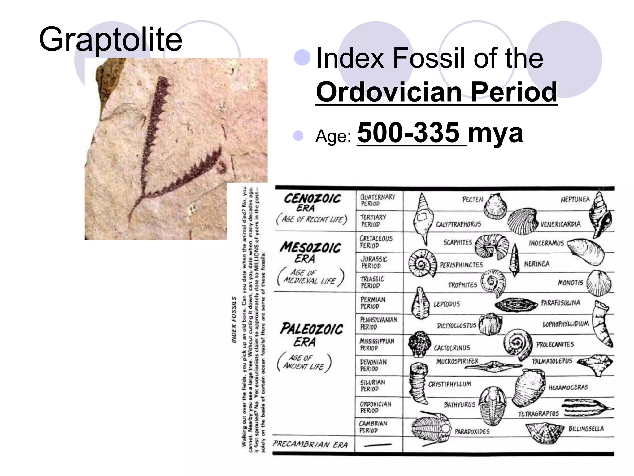 relative-and-absolute-dating_earth-science.pptx