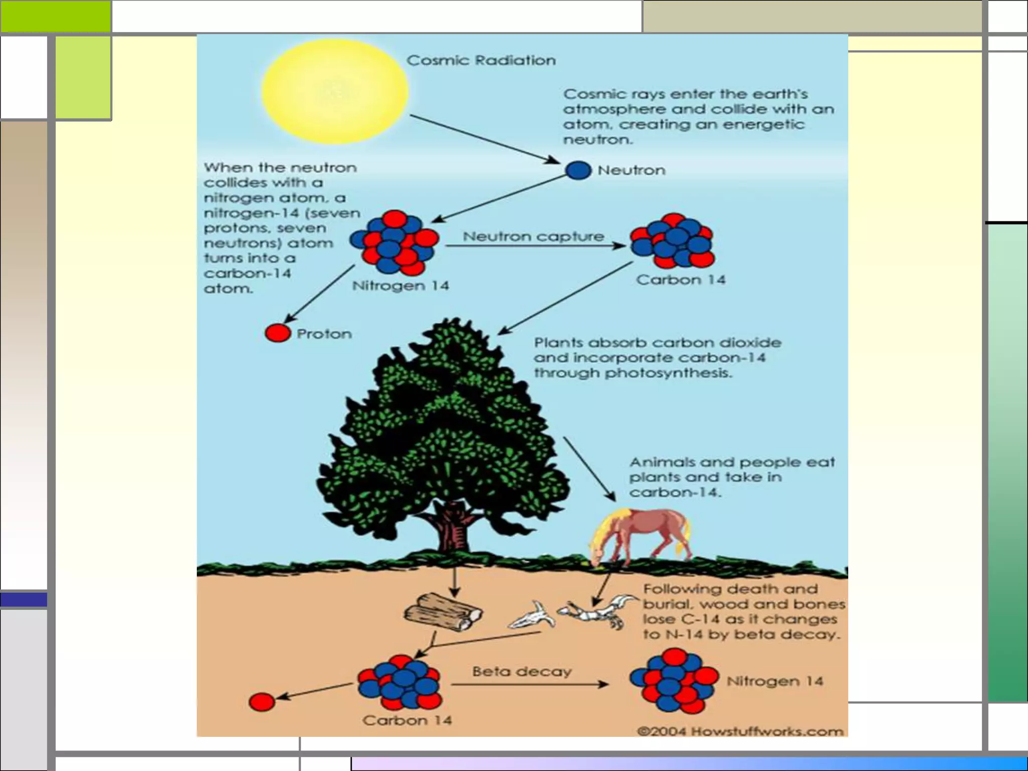Relative and absolute dating | PPTX