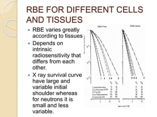 Relative biological effectiveness | PPTX