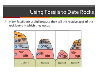 Law Of Superposition Worksheet