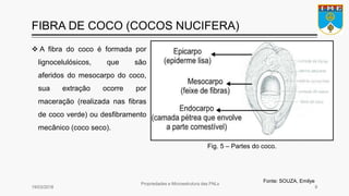 Propriedades e microestrutura das fnls | PPTX