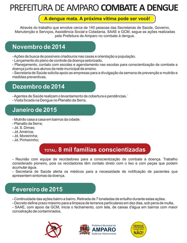 Relatorio acoes dengue | PDF