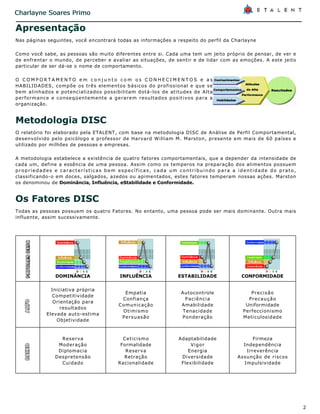 Perfil Profissional - Relatório de Desenvolvimento Etalent | PDF