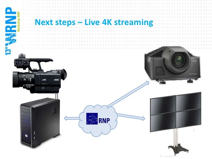 2011 Activities Report - Advanced Applications of Remote Visualization