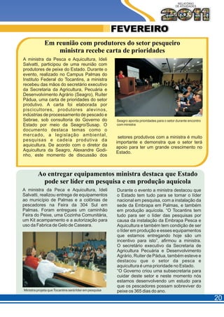 Relatório de Atividades (Modelo) | PDF