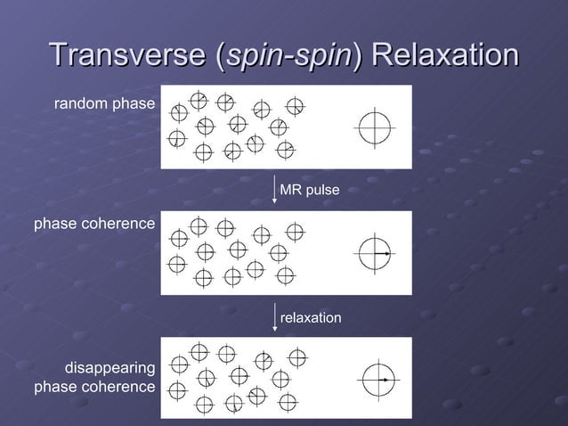 Relaxation in NMR | PPT