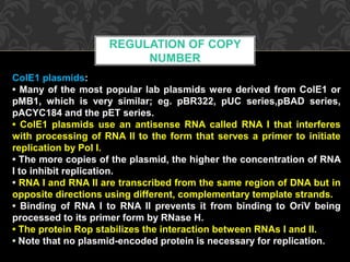 Relaxed plasmids & Regulation of copy number | PPTX