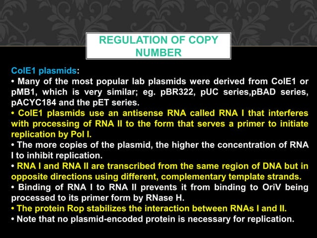Relaxed plasmids & Regulation of copy number | PPTX