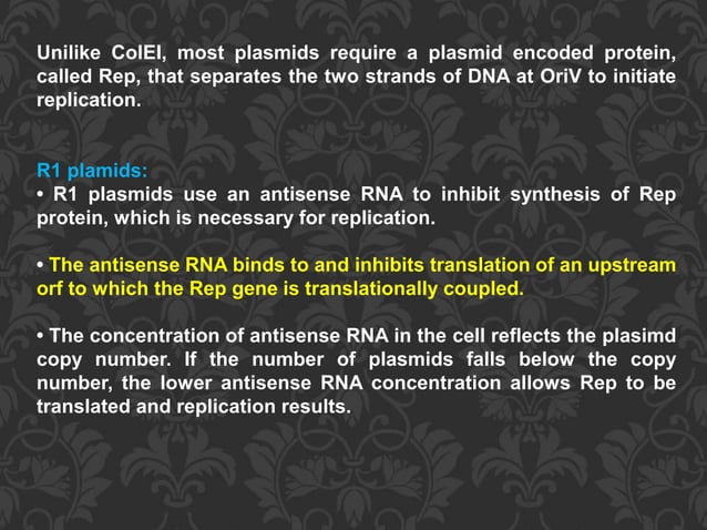 Relaxed plasmids & Regulation of copy number | PPTX