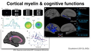 In-vivo intracortical myelination mapping: quantitative morphometry | PPT