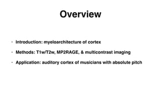 In-vivo intracortical myelination mapping: quantitative morphometry | PPT