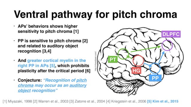 In-vivo intracortical myelination mapping: quantitative morphometry | PPT