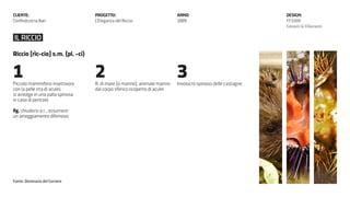 L'eleganza del riccio | PDF | Zoos & Aquariums | Attractions