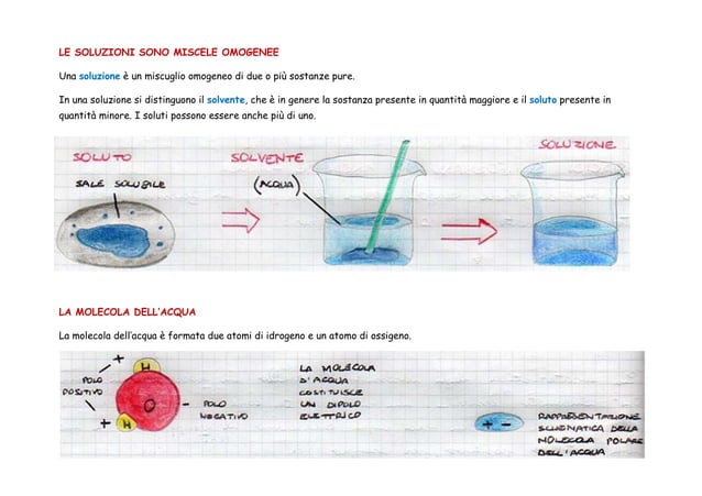 Relazione "La Chimica" | PDF