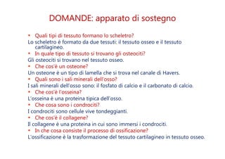 Relazione "Il Movimento" | PDF