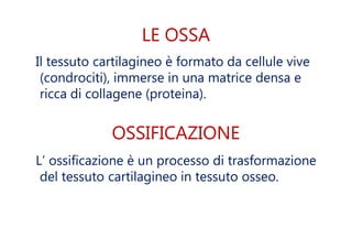 Relazione "Il Movimento" | PDF