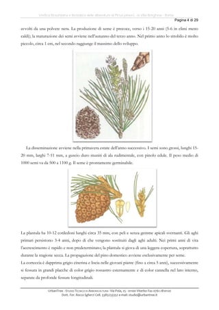 Relazione tecnica-valutazione-stabilità-pini-villa-borghese | PDF