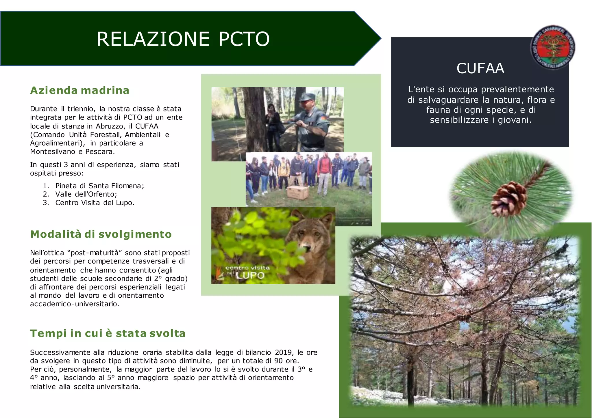 Relazione pcto1 | DOCX | Education