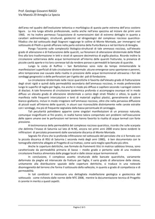 Relaz prof raggi | PDF
