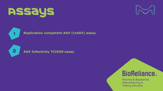 Releasing Your AAV Therapy with Confidence: Regulatory Considerations ...
