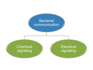 Relevance of quantum mechanics in bacterial | PPTX