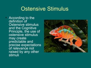 Relevance Theory | PPT