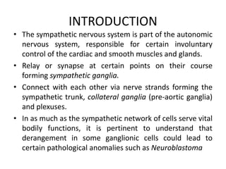 Relevant anatomy of sympathetic ganglia | PPTX