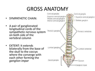 Relevant anatomy of sympathetic ganglia | PPTX