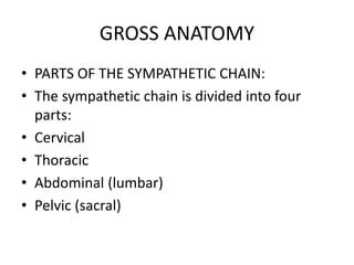 Relevant anatomy of sympathetic ganglia | PPTX