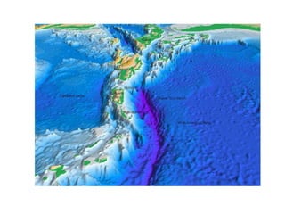 RELEVO OCEÂNICO | PPTX