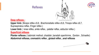 relfexes | PPTX | Death, Injury, or Military Conflict | Sensitive Topics