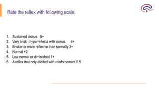 relfexes | PPTX | Death, Injury, or Military Conflict | Sensitive Topics