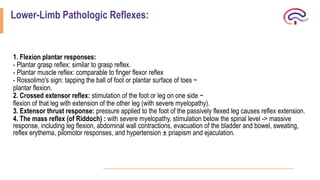 relfexes | PPTX | Death, Injury, or Military Conflict | Sensitive Topics