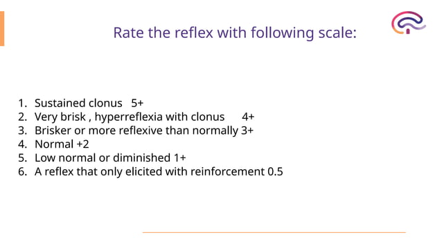 Reflexes (Deep, superficial & Pathological Reflexes) | PPTX