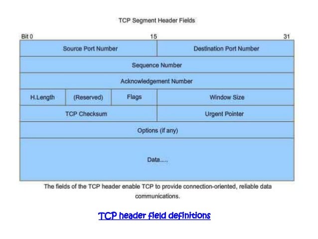 The TCP Protocol - Communicating with Reliability