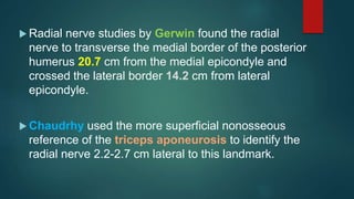 Reliable method of radial and ulnar nerve identification during the ...